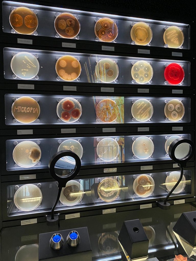 A Journey Through the Microscopic World of Micropia – PAI_32 platform