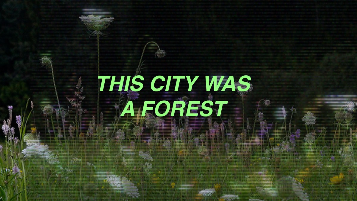 Application Form – PAI_32 platform